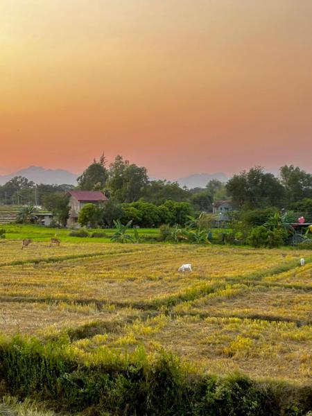 Serene Stay Balcony Ricefield - Bataan