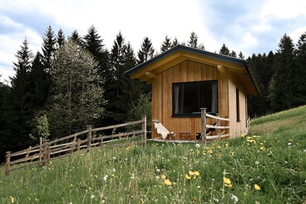 Ferienhaus "Moosgrün" - Tiny House Urlaub - Waidhofen an der Ybbs