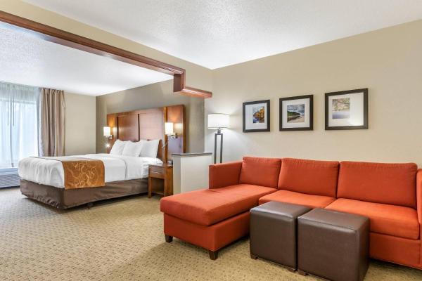 Comfort Suites Grand Rapids North - Grand Rapids, MI