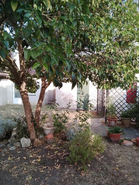 Appartement T2 Meublé - Bergerac