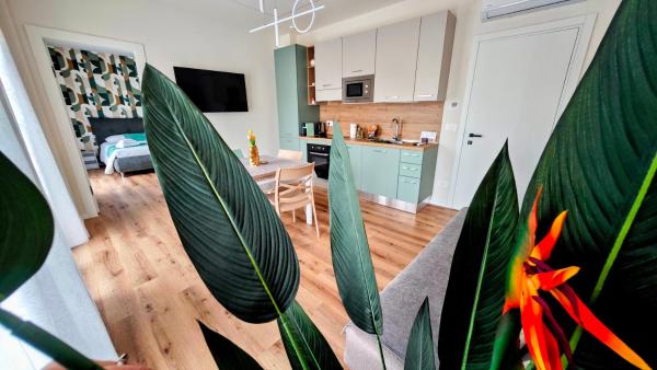 Sweet Sn Suite - Junior Suite Con Idromassaggio & Apartment - Vacation Rental - Monopoli - Monopoli