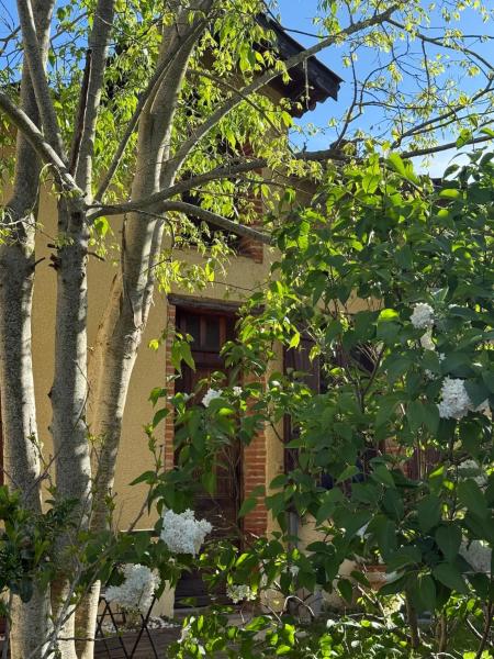 Maison De Ville, Jardin Privatif Et Stationnement - Montauban