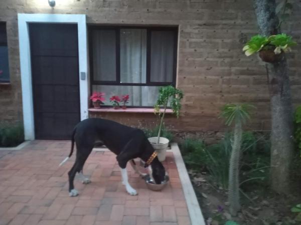 Hotel Casa Capadose - Guerrero