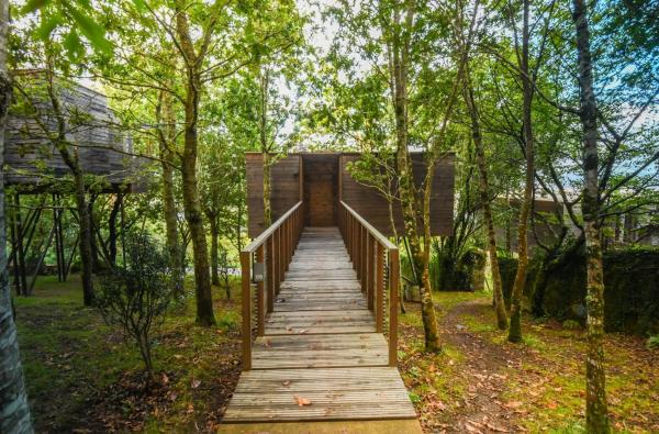 Treehouse Overlooking The Ría - Cabana Do Tambre - Noia