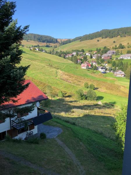 Ferienwohnung Black Forest Hideaway - Kirchzarten