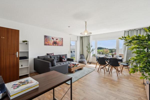Alpenblick Rickenbach Familienfreundlich Fewo Hunde Willkommen Terrasse - Bad Säckingen