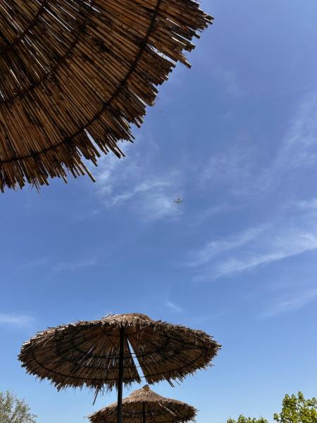 Lakeside Palms - Albania