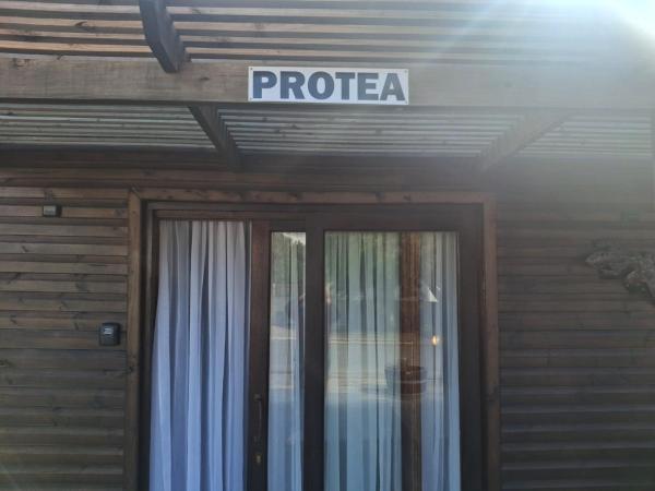Protea - Saint Helena Bay