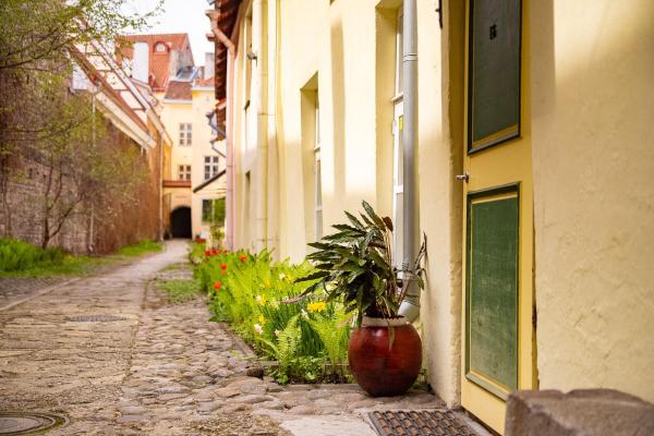 Apartments In A 700-years-old House - Tallinn