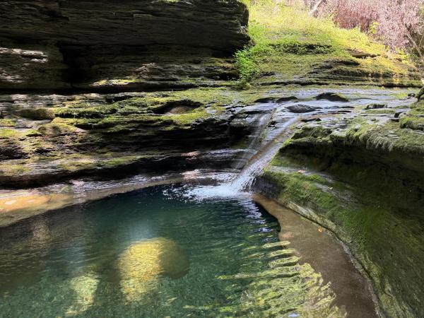 Seneca Gorge Glamping - State of New York