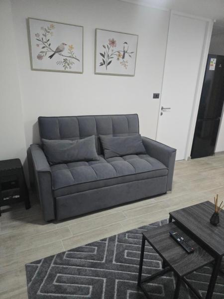 Apartamento Céntrico Y Equipado - Concepción, Chile