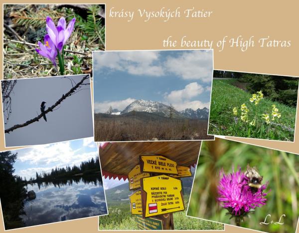 Apartmány Hágy L+l - Szczyrbskie Jezioro