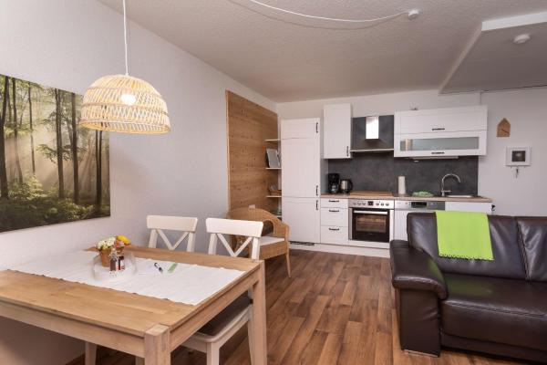 Apartment Ahorn Im Schwarzwald - Hausach