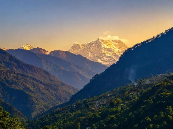 Hotel Vidya Om Palace Kedarnath - Chamoli