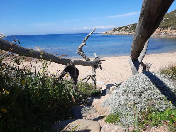 Villette Vista Mare Terravecchia - Santa Teresa Gallura