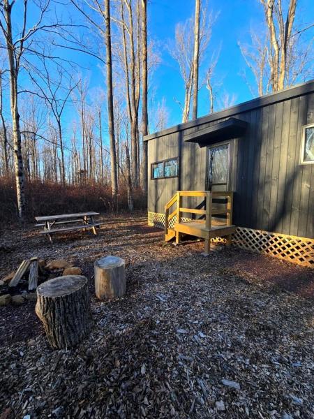 Sycamore: Serene Studio Pod Tiny Home In 300-acre Woodland Near Quakertown Pennsylvania - Nockamixon State Park, Quakertown