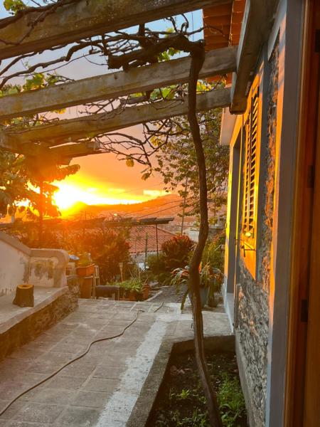 Casa Das Flores Garden - Madeira