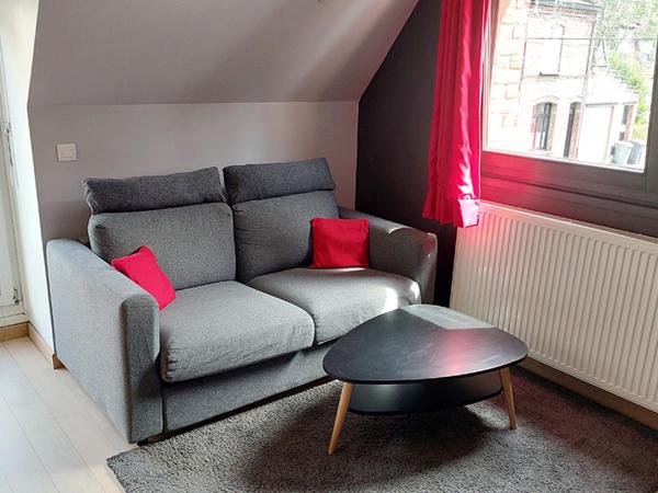 Appartement Wifi, Animaux Ok, Central - 4 Pers. - Fr-1-510-254 - Marcq-en-Barœul