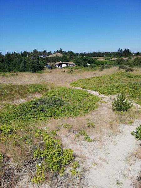 Holiday Home On A Huge Nature Plot - Skagen
