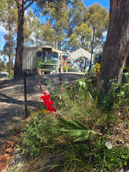 Banksia Bus - Bruny Island