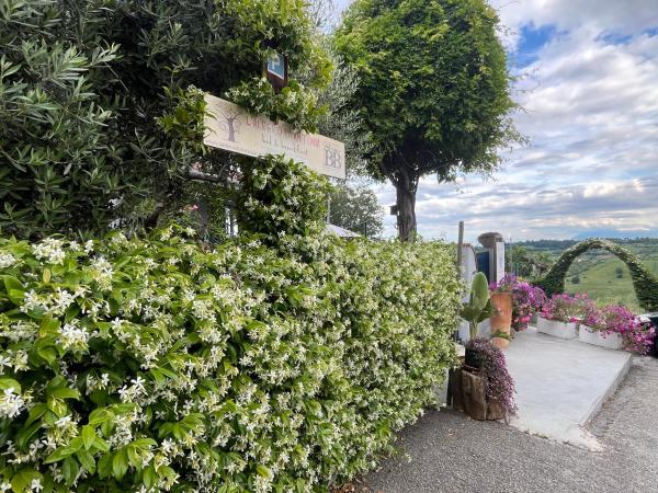 B&b L'albero Di Antonia - Pineto