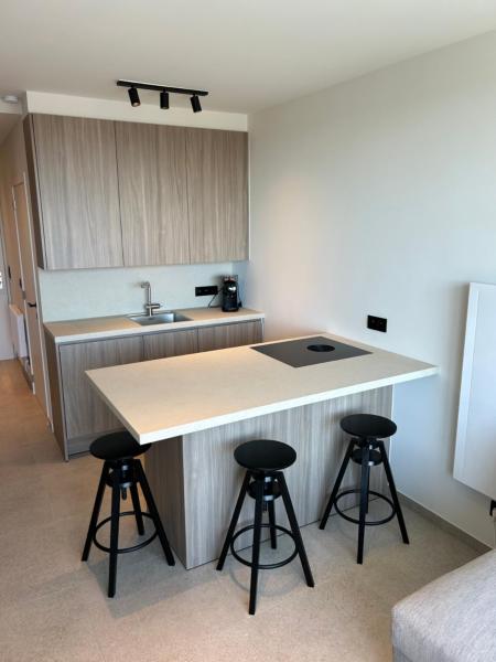 Modern 1-slaapkamer Appartement In Hartje Nieuwpoort-bad - Nieuwpoort