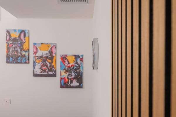 Bulldog Home Bergamo - Bergamo