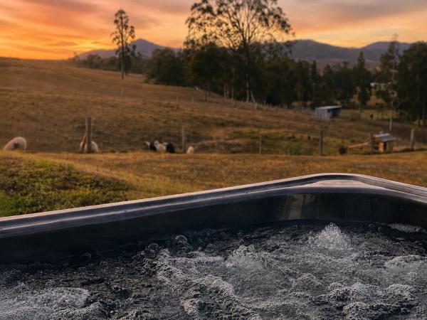 Tangory Farmstay - Hunter Region