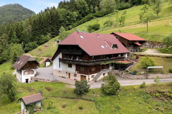 Ferienparadies Maierbauernhof - Wolfach