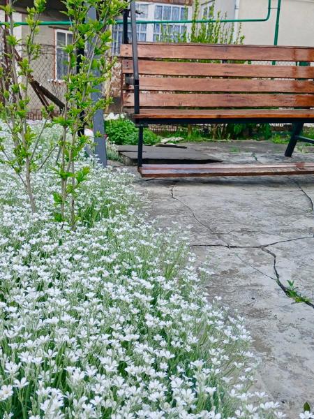 Private House With Garden Near Naslavcea - Moldavie
