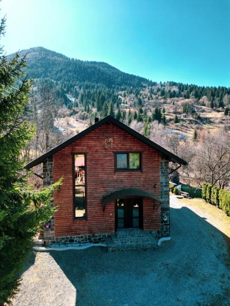 Cabana Vasc - Borșa