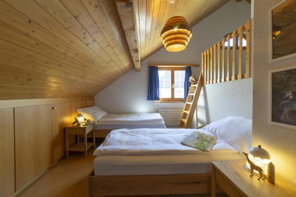 Dachnest - Wildhaus