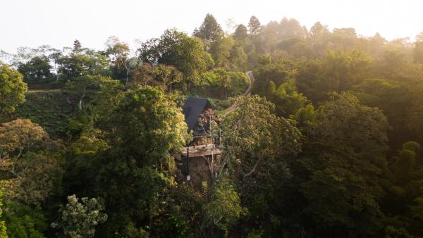 Mirador Aframe Cafetal, Vista En Comasagua - El Salvador