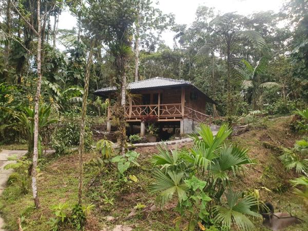 Finca Las Palmas Ecolodge - Puyo