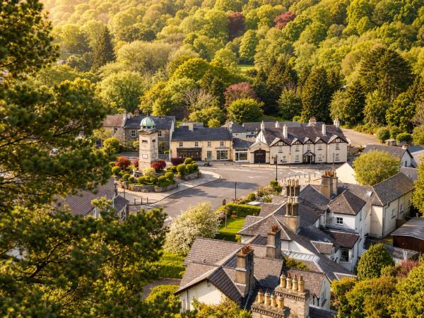 Powerscourt Arms Hotel - Bray