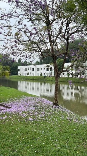 Jannah Green Escape - Putrajaya
