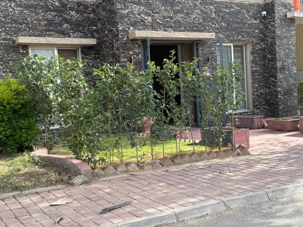 Cozy Ground Floor Villa - Islamabad