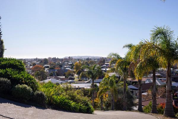 The Bee Hive - Napier