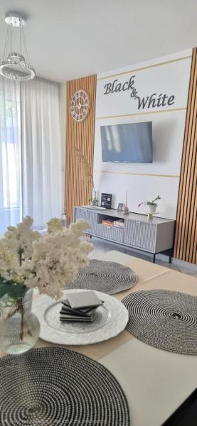 Apartament Black-white - Mielno