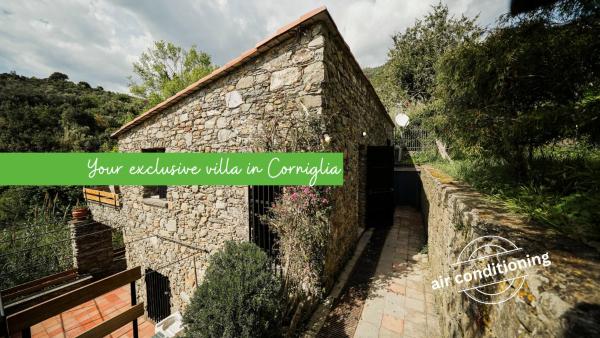 Villa Olive Mill Terra Rossa - Vernazza