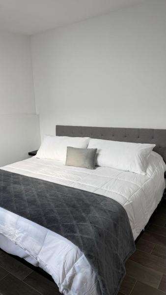 Loft Con La Mejor Ubicación Y Comodidad - Monterrey