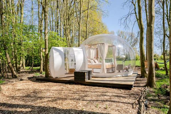 Bubbeltent In Bos Met Hottub, 20m Amsterdam - Nordholland