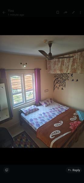 Shaun's Misty Homestay - Karnataka