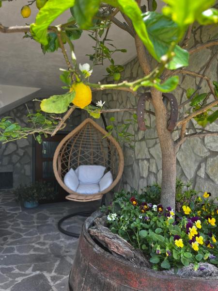 Artemisia Path Of The Gods Suite - Conca dei Marini