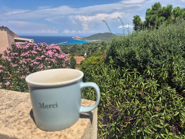 T3 Rénové Vue Mer à Corbara Avec Climatisation - Algajola