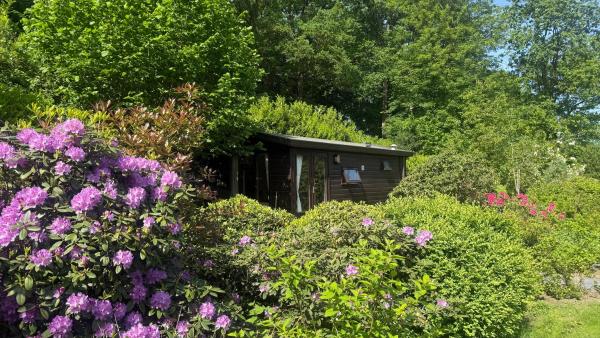 Chalet Kip & Geit Incl Sauna & Jacuzzi - Overijssel