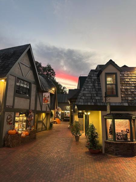 Rustic Cottage Style - 10 Min Walk To Downtown Gatlinburg - Gatlinburg, TN