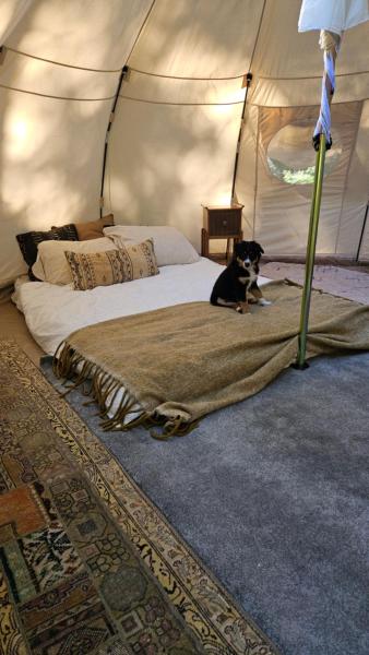 Humingbird Ranch - Salt Spring Island