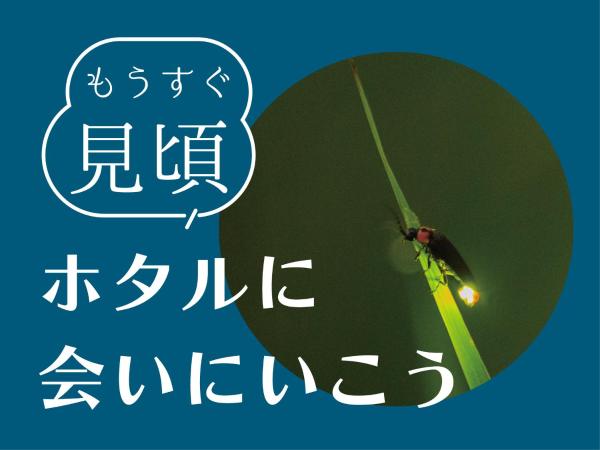 Ukiha Kojio No Akari - 야메시