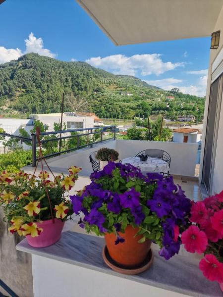 Villa Noah - Berat